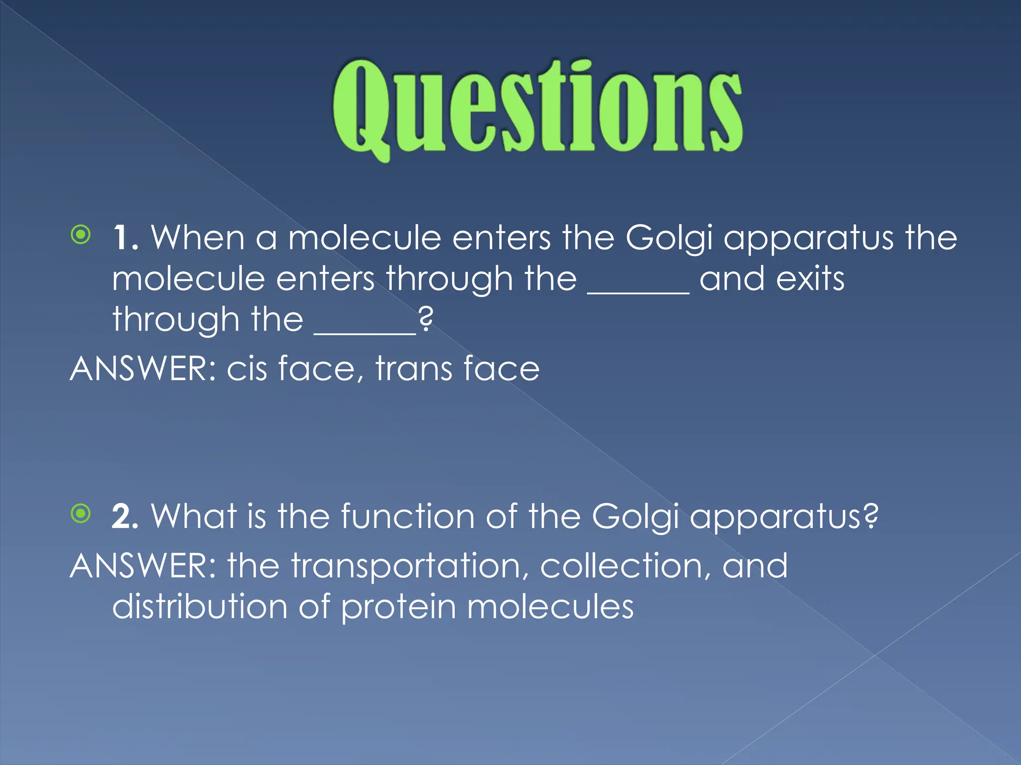 Golgi Apparatus: An Overview of the most important cell part.ppt