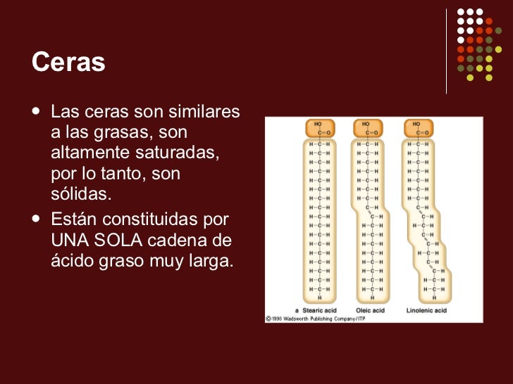 Qu Son Las Ceras Y Sus Funciones