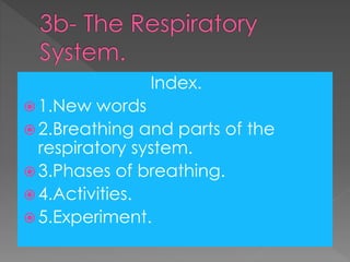 3b the respiratory system | PPTX