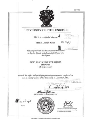 BSc Hons Degree | PDF