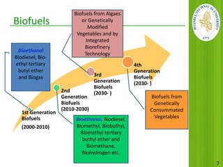 Graduation Presentation_CeylanpinarATAY_2 | PPT