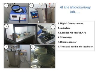 Internship_presentation | PDF | Chemistry | Science
