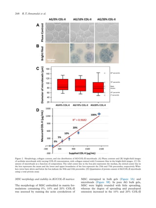 Collagen II Microbeads Final | PDF