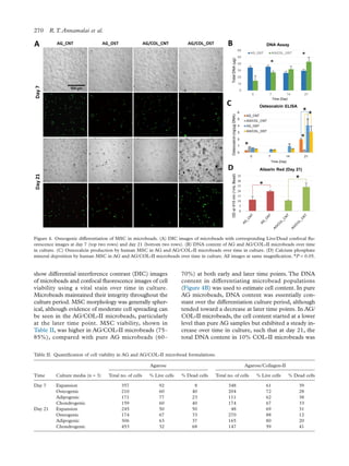 Collagen II Microbeads Final | PDF