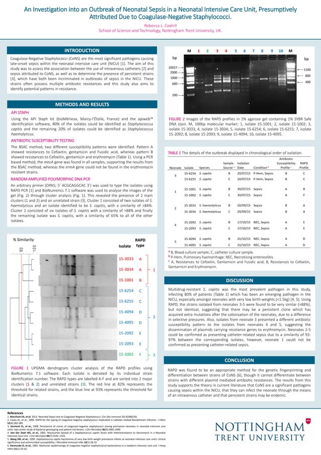 Research Project Poster FINAL | PDF