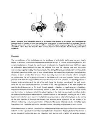 Rhopalial movements in Carybdea marsupialis | PDF | Geography | Science