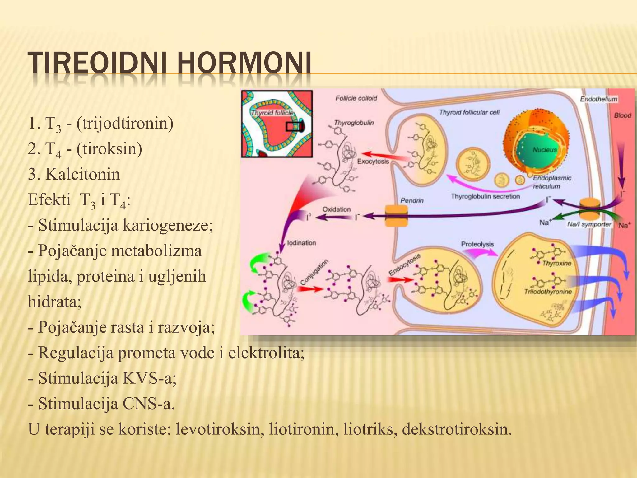 Peptidni hormoni i analozi prezentacija | PPTX