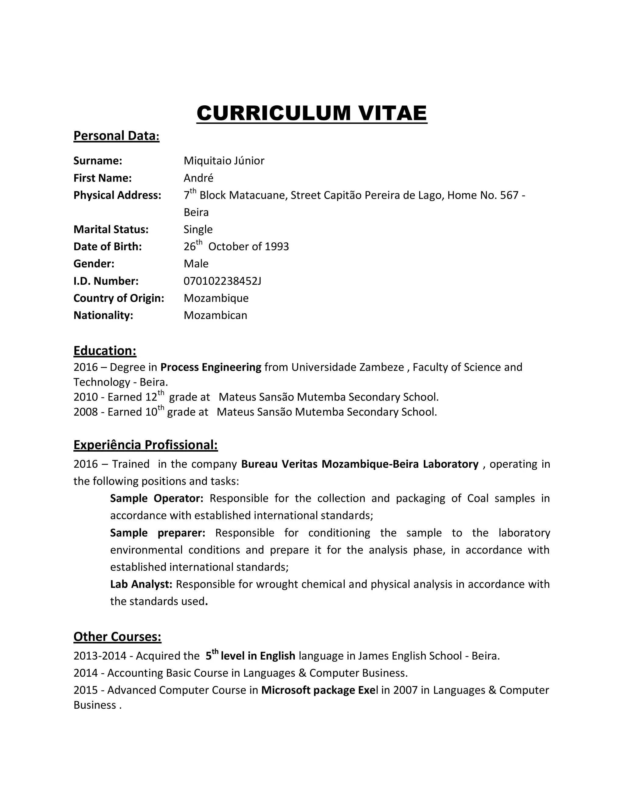 CURRICULUM VITAE (ENGLISH) K | PDF