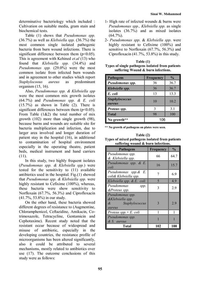 ISOLATION AND IDENTIFICATION OF AEROBIC PATHOGENIC BACTERIA FROM BURN ...