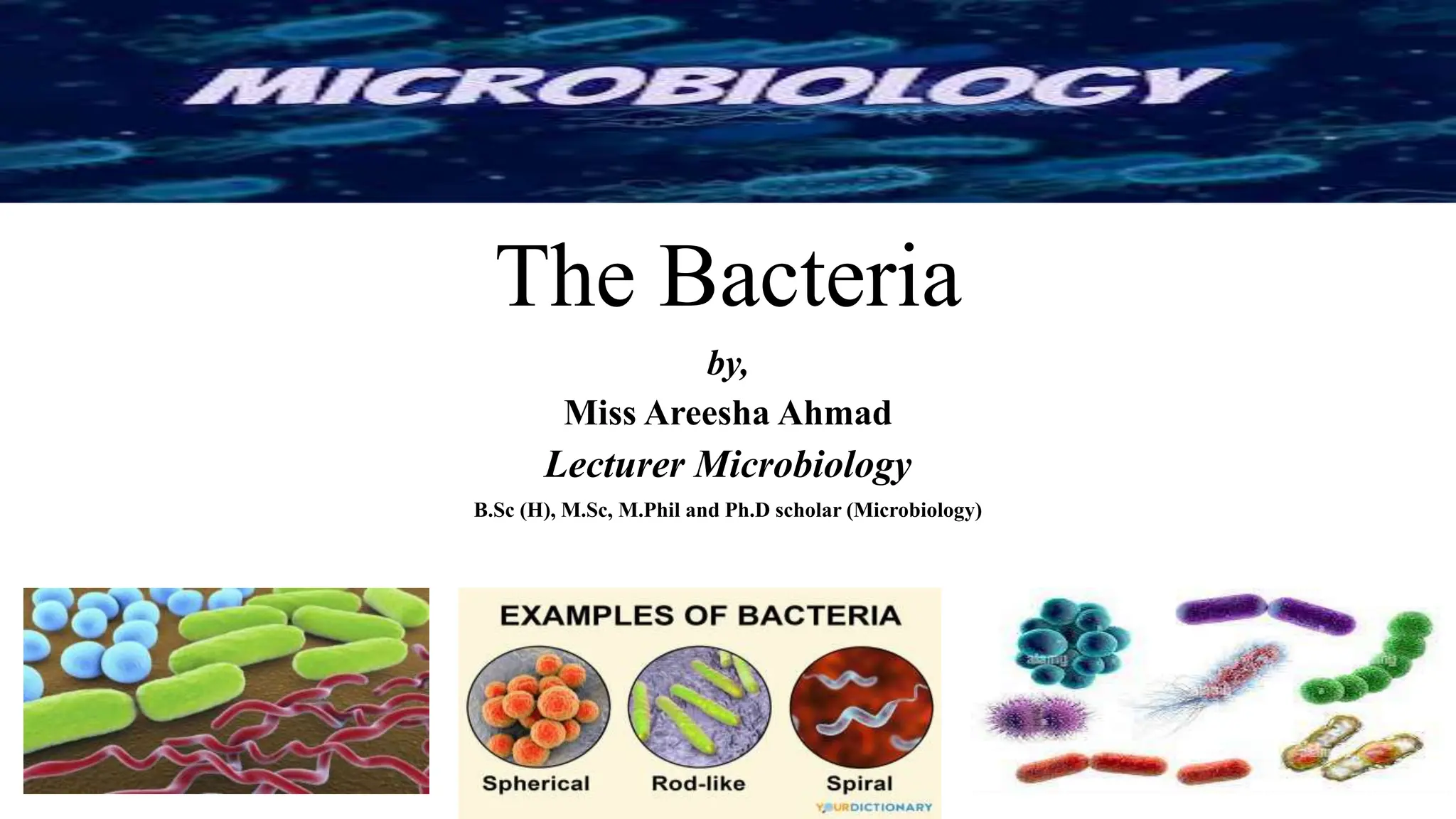 Dpt Bacterial Forms And Function Pptx