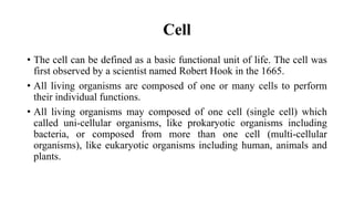 DPT - Bacterial forms and function | PPTX