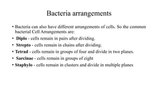 DPT - Bacterial forms and function | PPTX