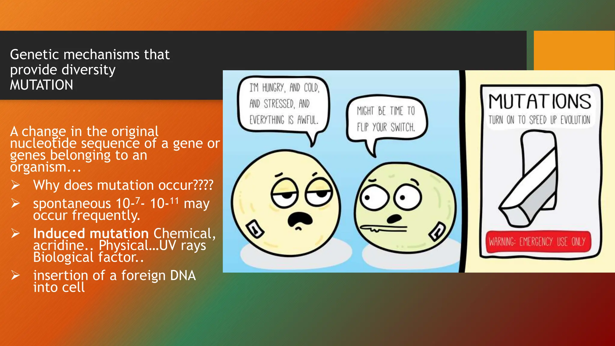 Bacterial Genetics.PPTX