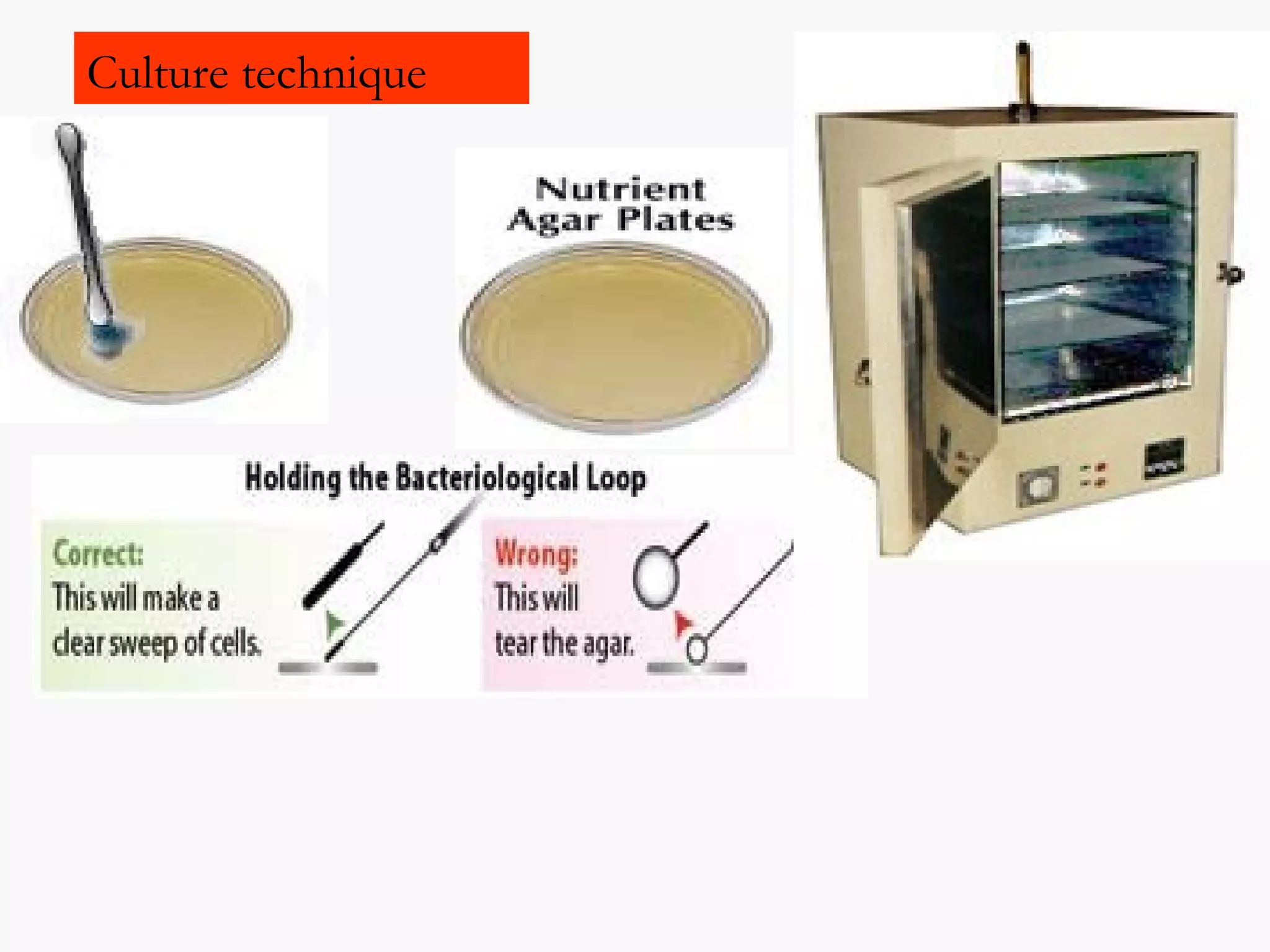 Bacteriological Culture Media 2017 | PPT