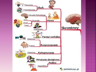 Agata Woźniak 3B | PPT