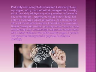 Agata Woźniak 3B | PPT