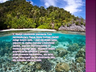 Agata Woźniak 3B | PPT