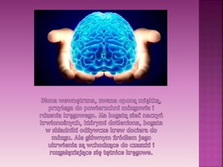 Agata Woźniak 3B | PPT