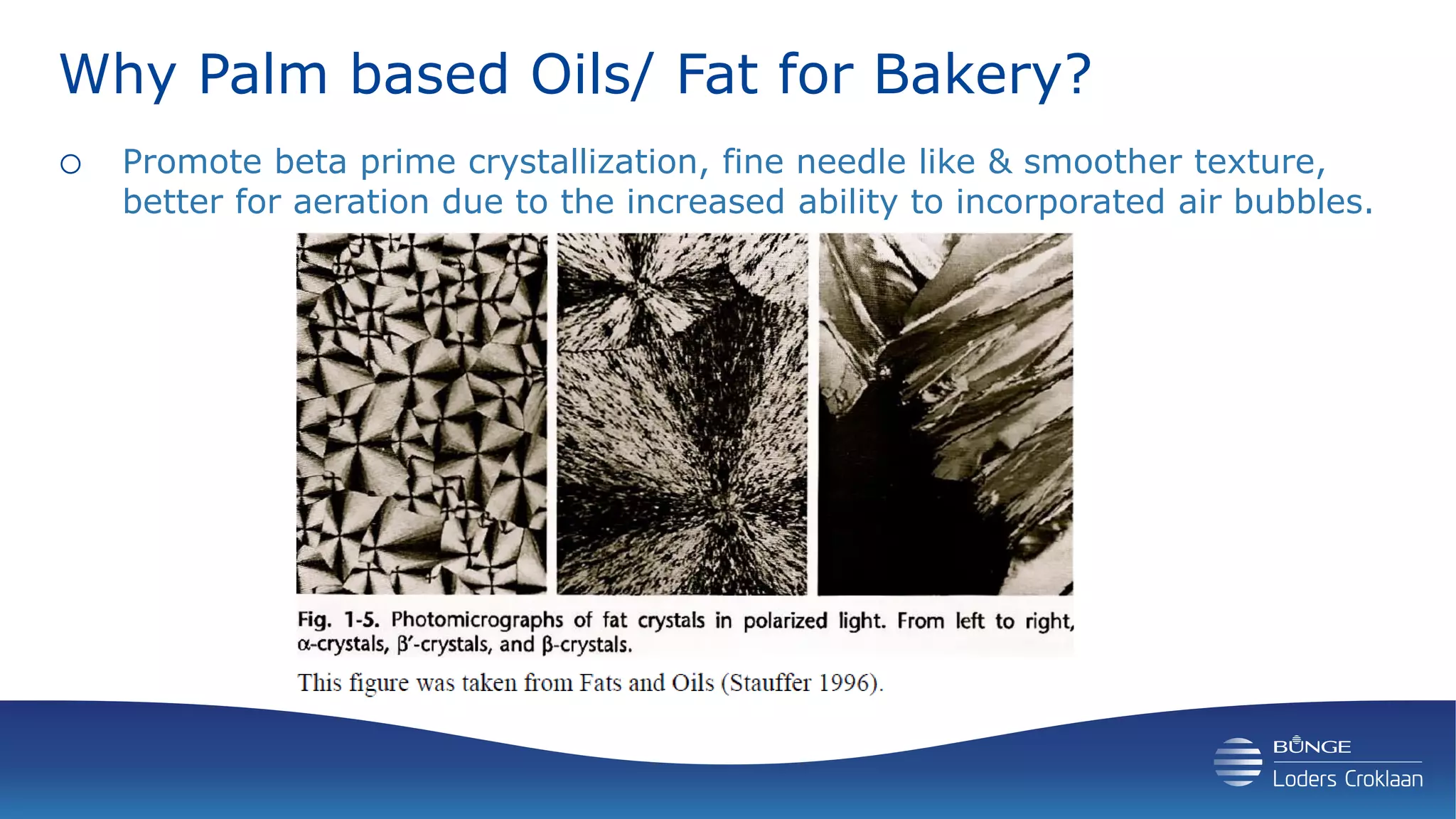 Palm Based Bakery Fats | PDF