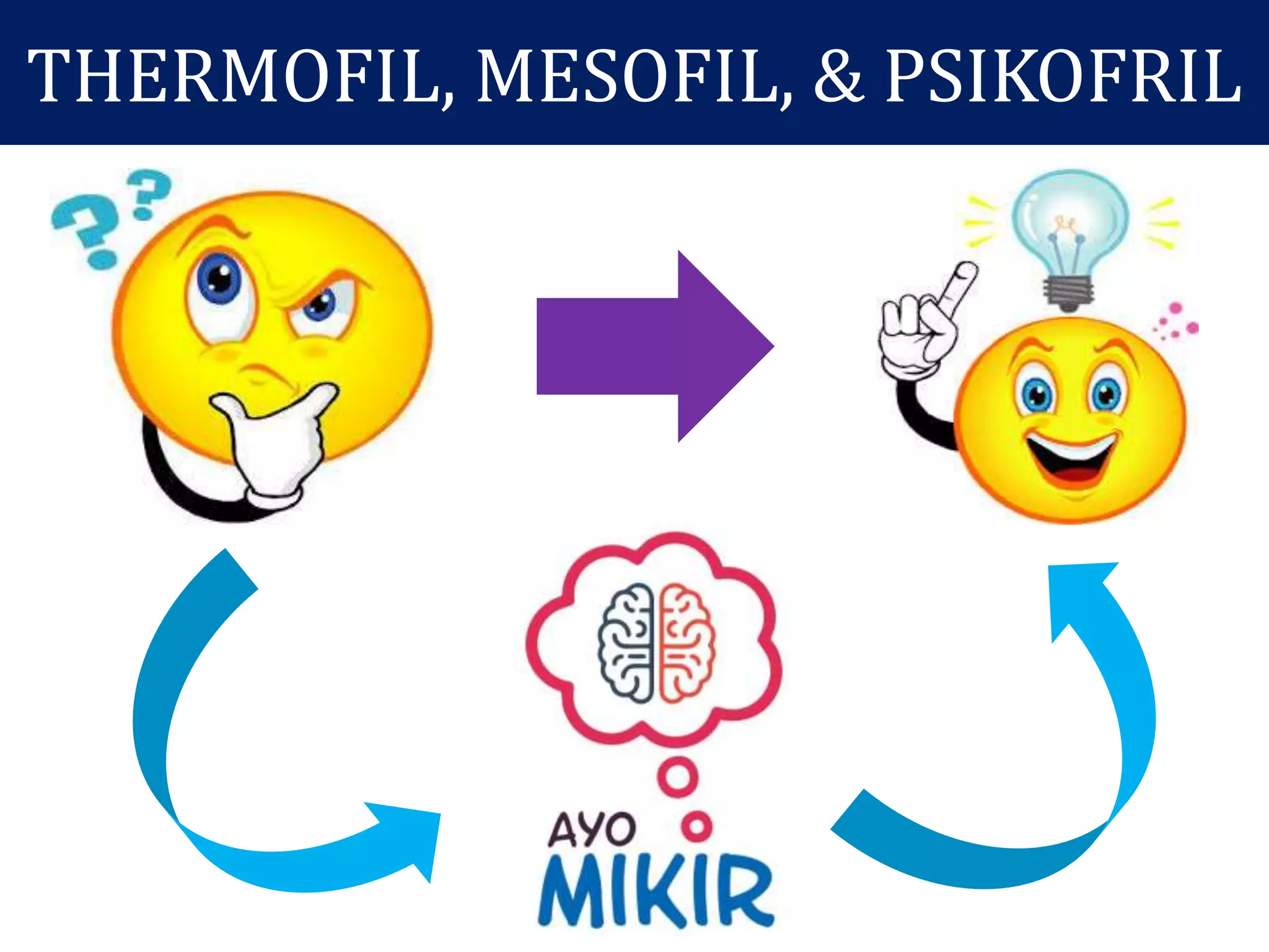 3 bakteri thermofil, mesofil dan psikrofil | PPTX