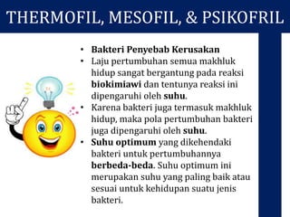 3 bakteri thermofil, mesofil dan psikrofil | PPTX