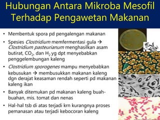 3 bakteri thermofil, mesofil dan psikrofil | PPTX