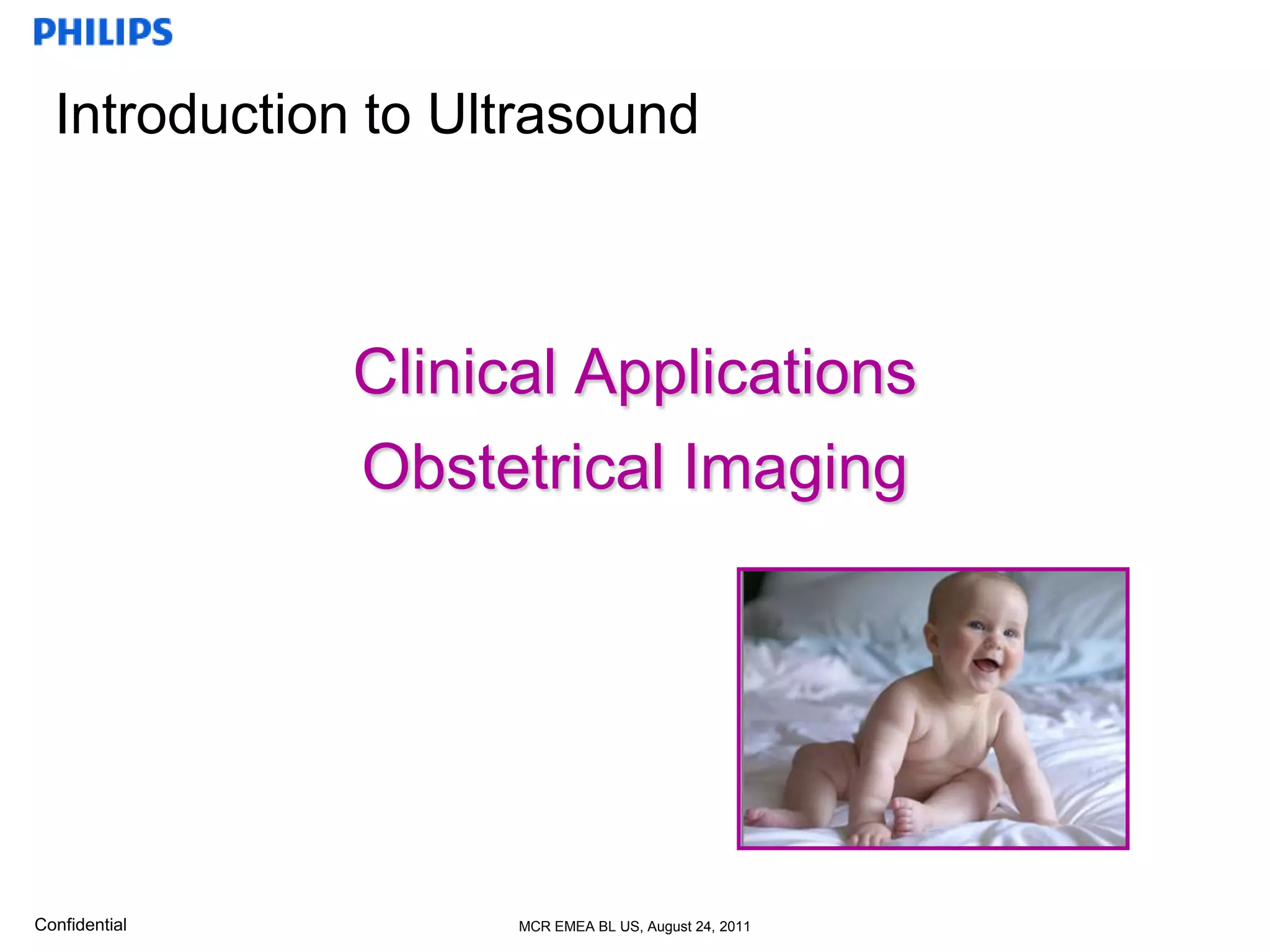 basic anatomy ob & gyn | PPTX