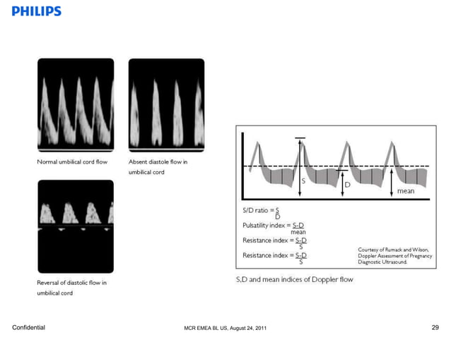 basic anatomy ob & gyn | PPTX