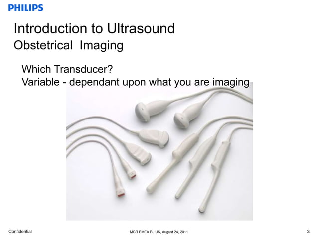 basic anatomy ob & gyn | PPTX