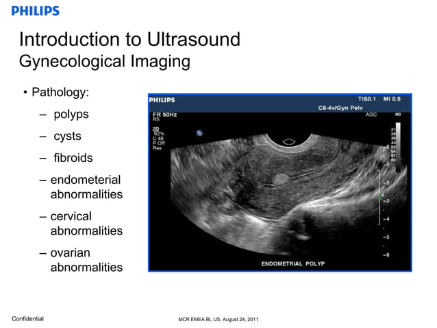 basic anatomy ob & gyn | PPTX