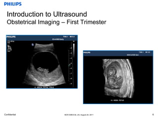basic anatomy ob & gyn | PPTX