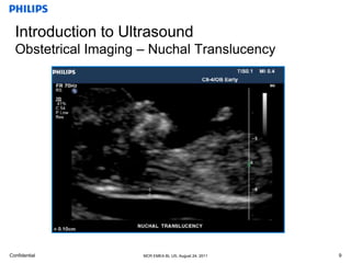 basic anatomy ob & gyn | PPTX