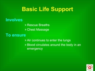 3 basic life support | PPT | First Aid | Injuries