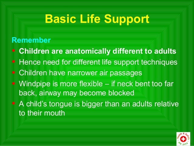 3 basic life support