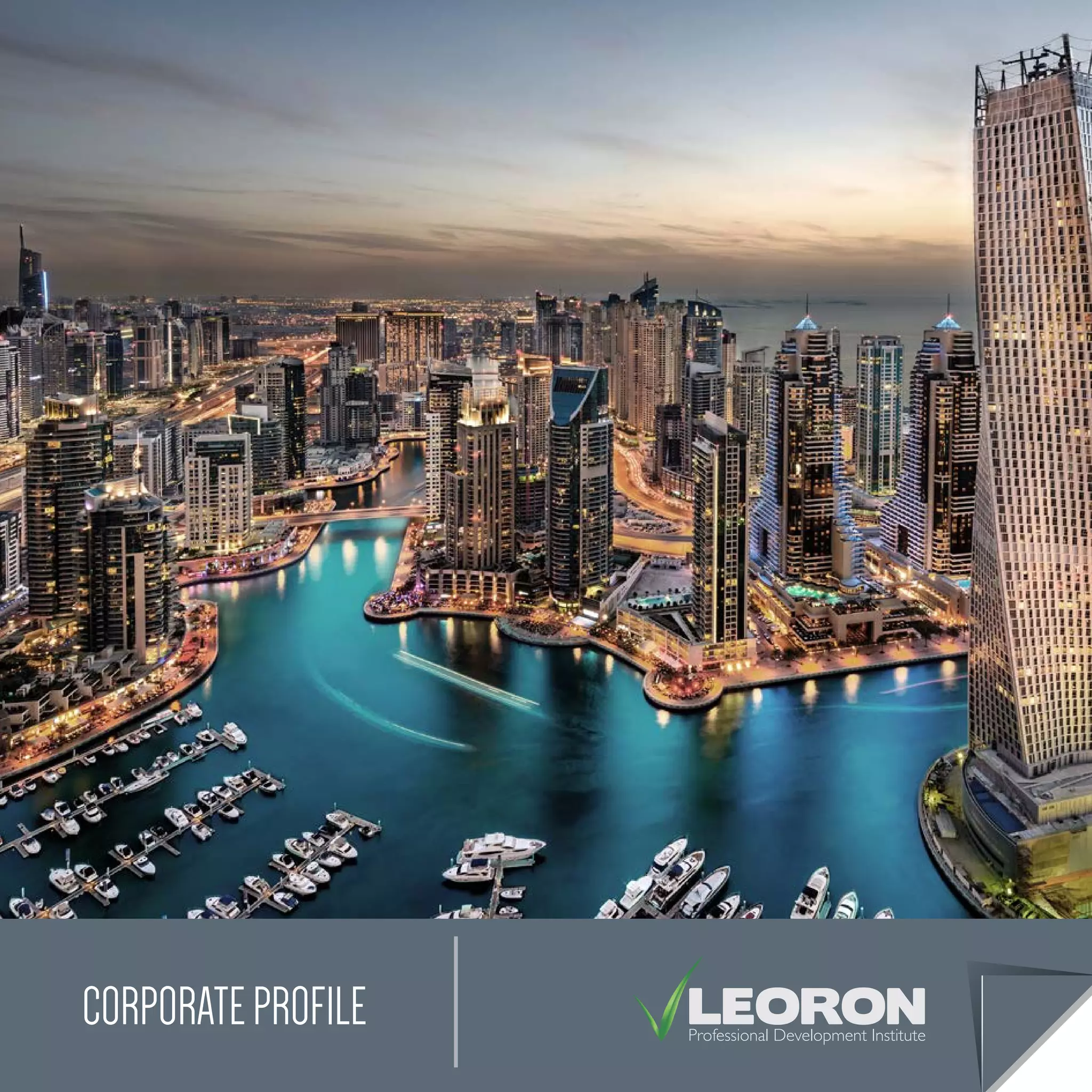 Leoron corporate Brochure | PDF
