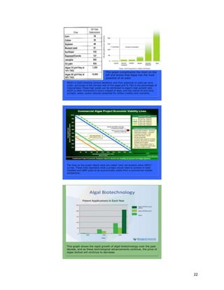 ALGAE Research Paper Final-1-1 | PDF