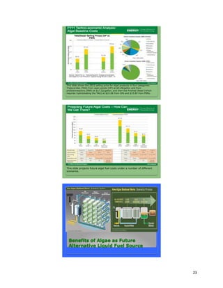 ALGAE Research Paper Final-1-1 | DOCX