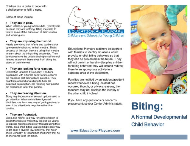 Biting Brochure | PDF | Parenting Babies and Toddlers | Parenting