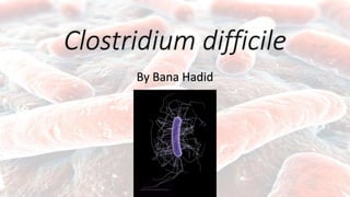 Vaccines Clostridium difficile Presentation | PPTX | Infectious ...