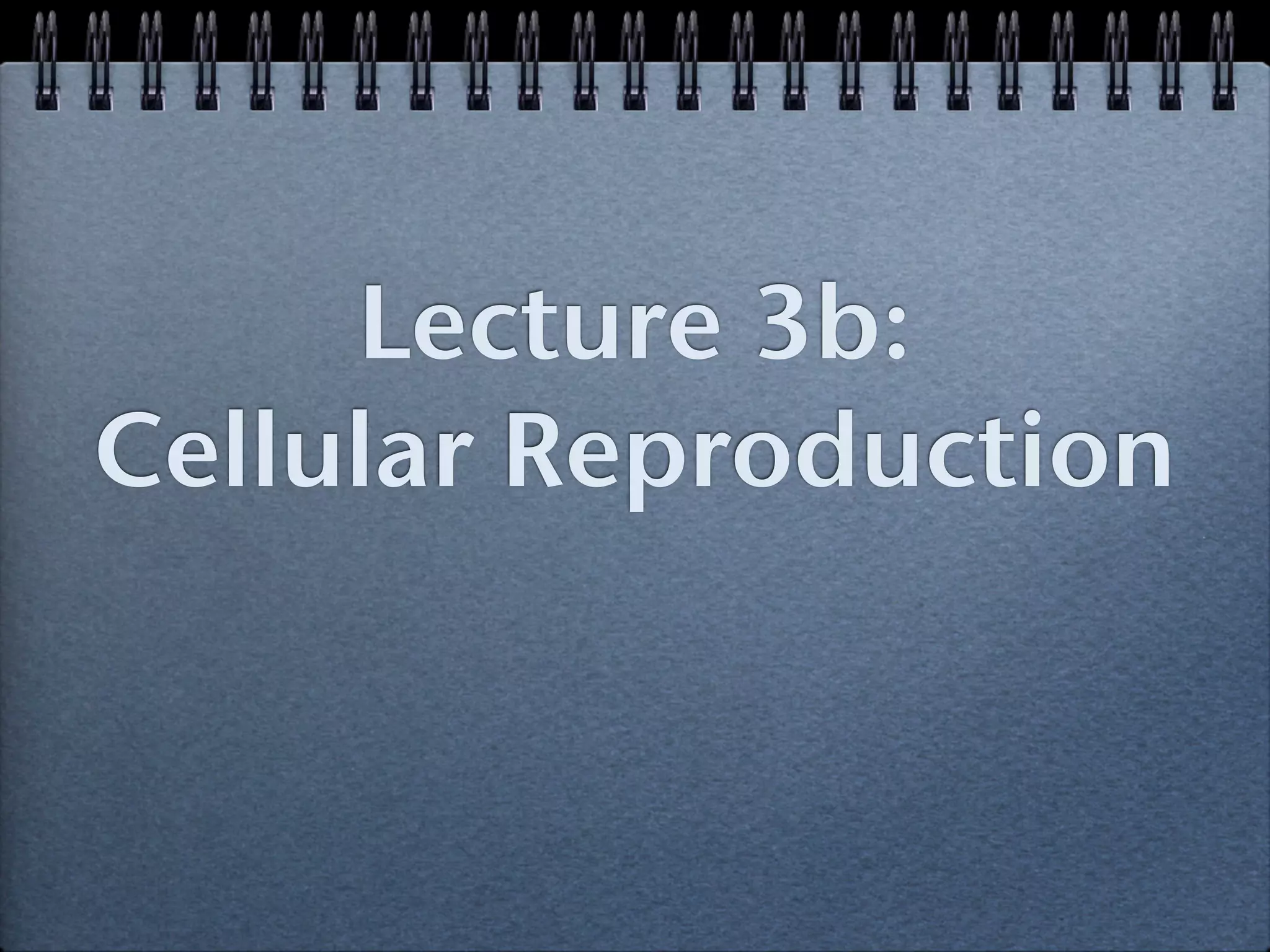 3b; cell reproduction | PPT