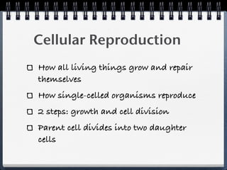 3b; cell reproduction | PPT