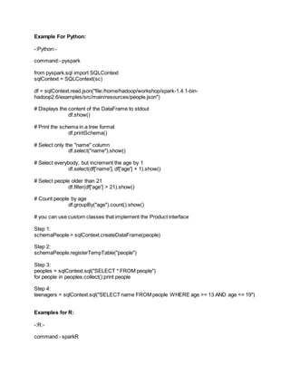 Spark_Documentation_Template1 | DOCX | Databases | Computer Software and Applications