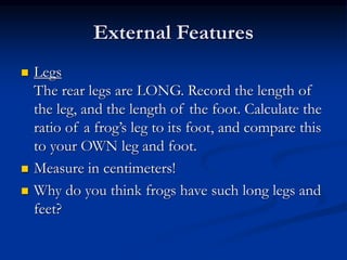 Frog Dissection | PPSX