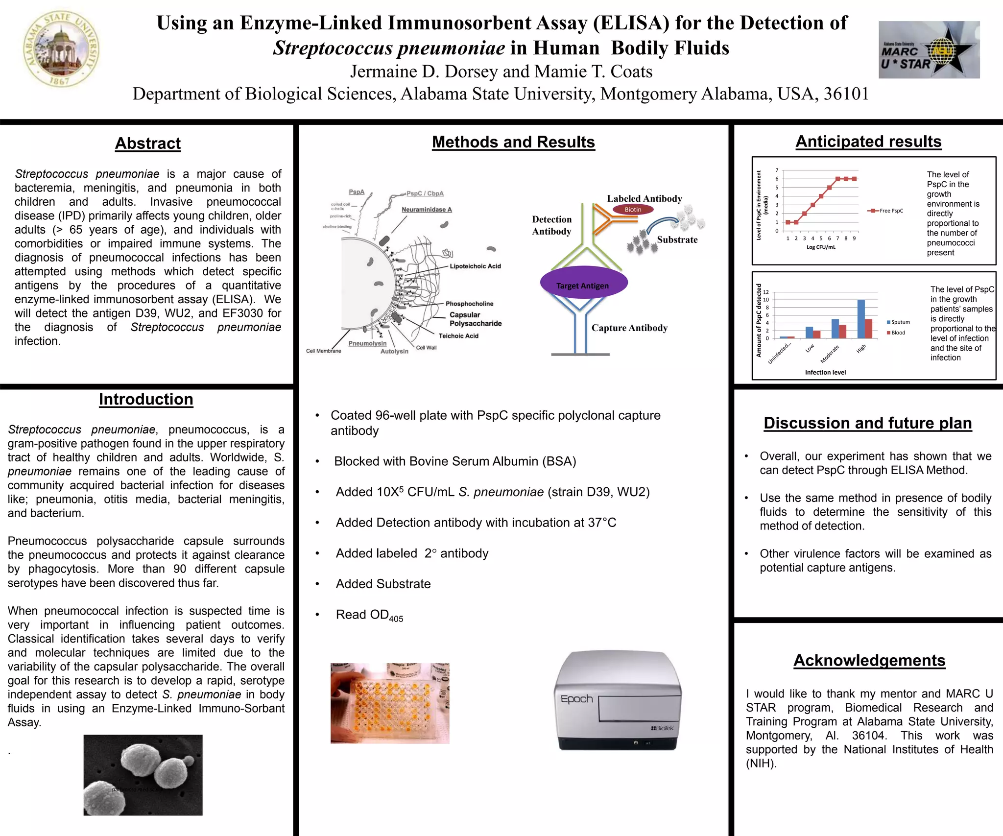 ELISA Poster Presentation 2012 RCA 5 mtc | PPTX