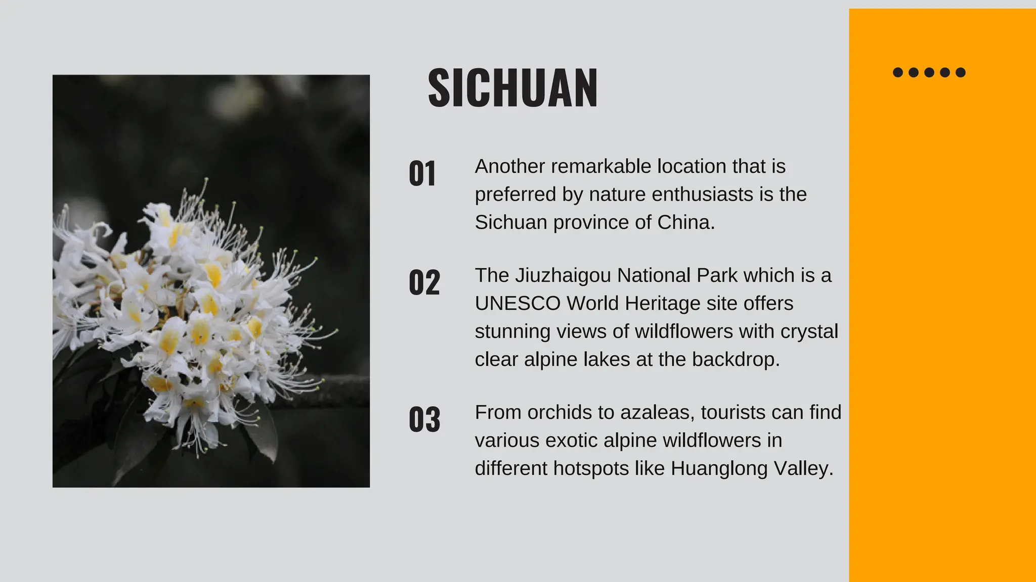 3 Best Places To See Wildflowers In China | PDF | Geography | Science