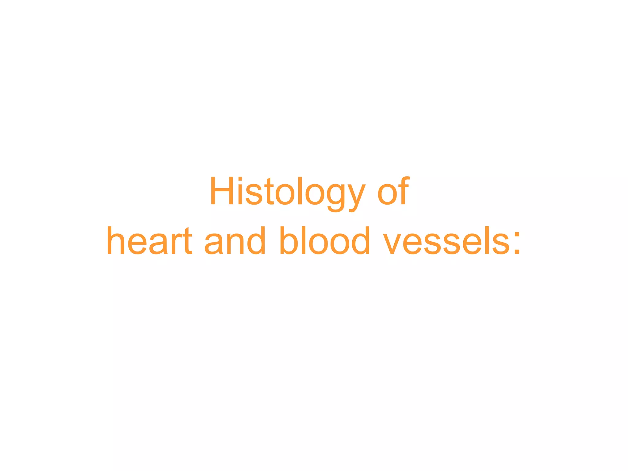 Microanatomy cardiovascular system cvs anatomy | PPT