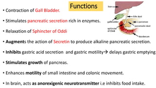 gastric secretion and its regulation | PPTX