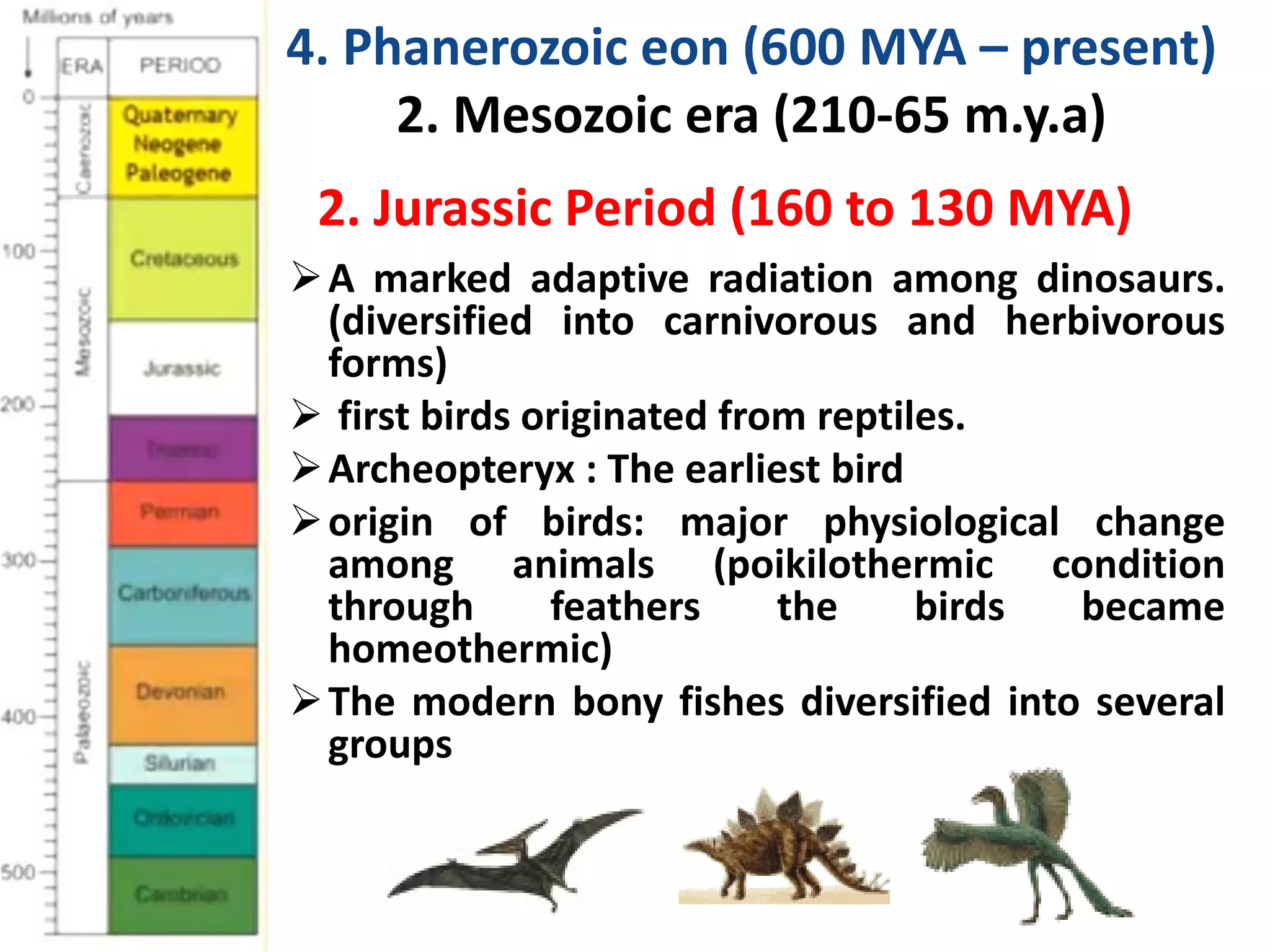 Geologic time scale and extinction | PDF