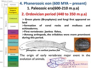 Geologic time scale and extinction | PDF