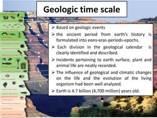 Geologic time scale and extinction | PDF